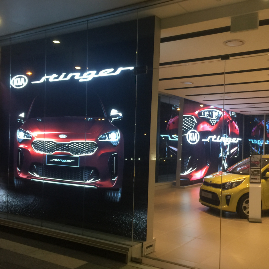 Wild Cow Visual Displays